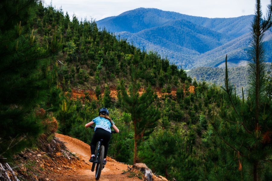 Mystic Bike Park | Mountain Bike Park in Bright, Victoria